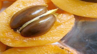 Mangiare nespole fa bene alla linea e alla salute | DireDonna