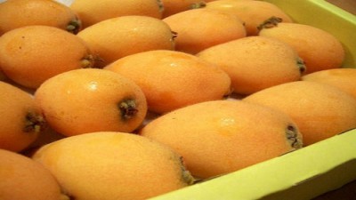 Mangiare nespole fa bene alla linea e alla salute | DireDonna